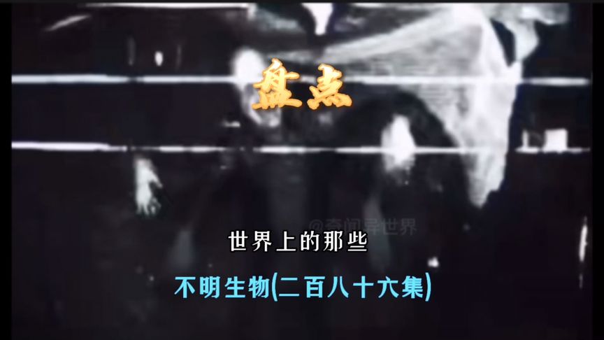 暗网,恐怖的脸!盘点世界上的那些不明生物286