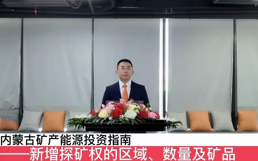 4. 内蒙古矿产能源投资指南——新增探矿权的区域、数量及矿品有哪些