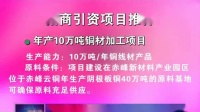 20210122新闻(招商引资项目推介)