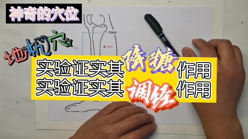神奇的穴位——地机穴,现代研究证实其降糖和调经的作用。
