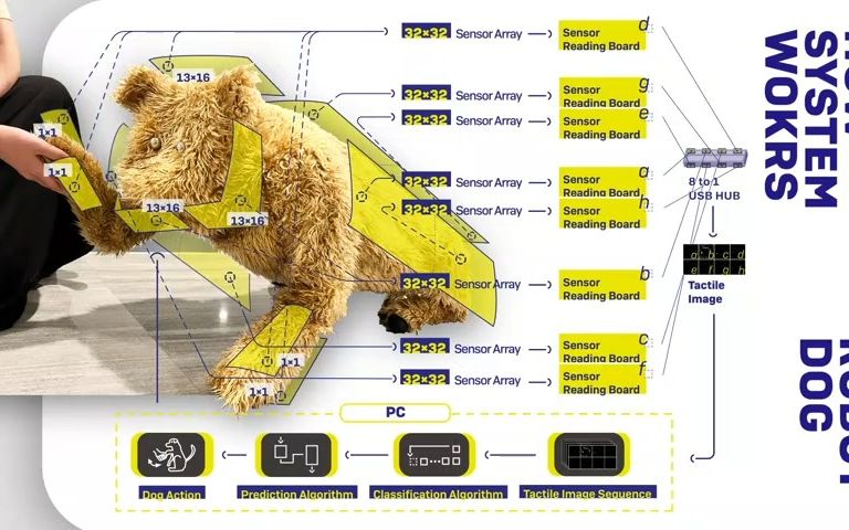 【ICRA2023】面向仿生机器人的大幅面高密度分布式柔性触觉自然...