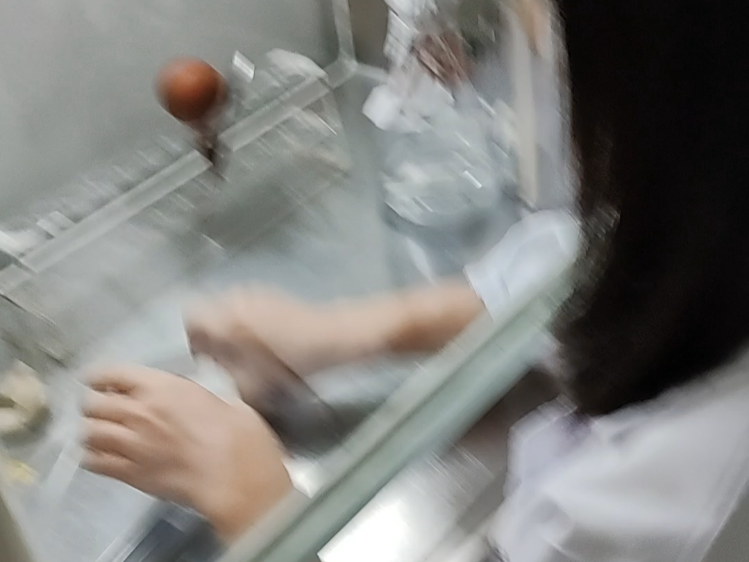 食品检验员培训(菌落总数微生物检验技术实操)