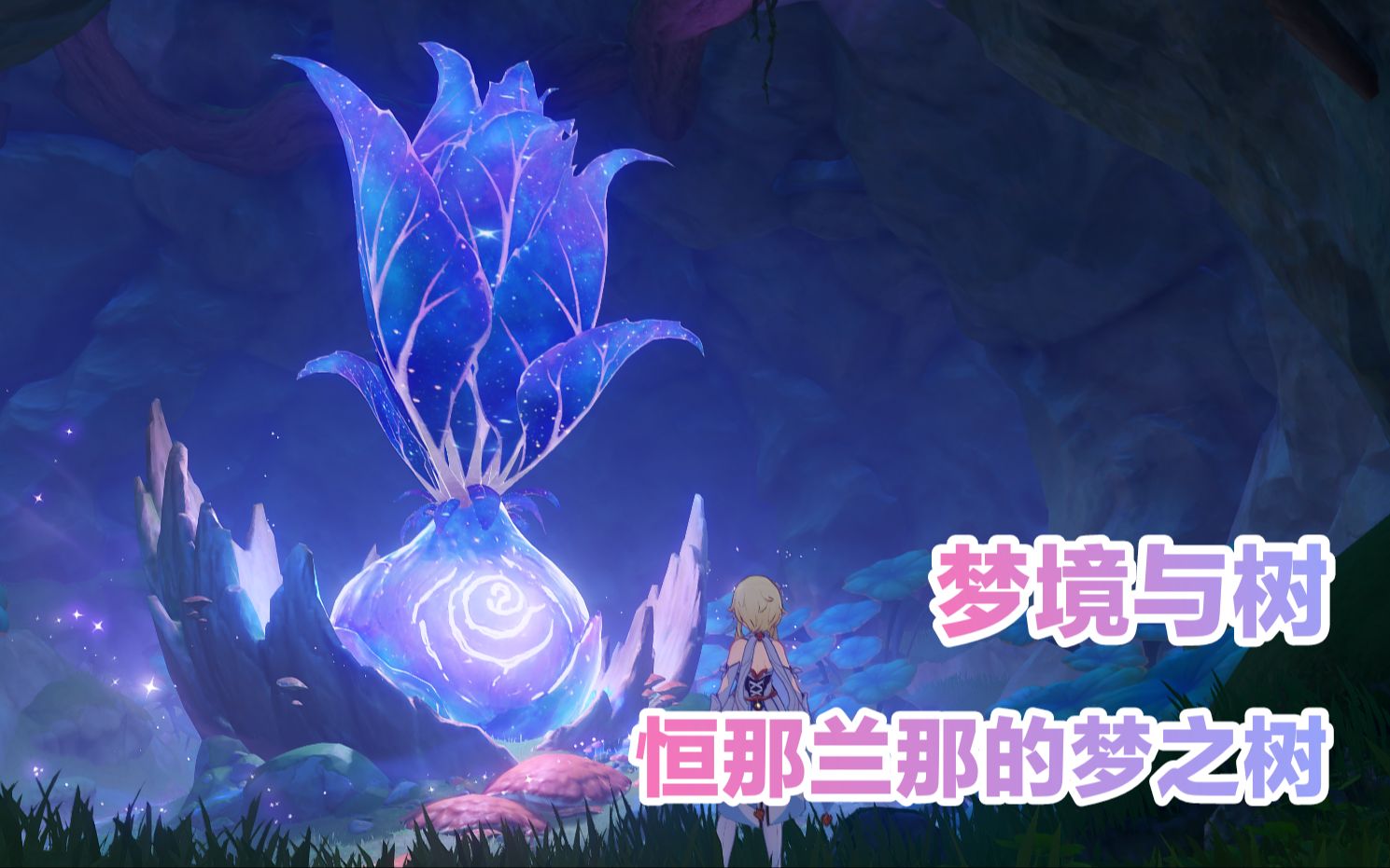 【原神剧情】世界任务丨导引任务(须弥)-梦境与树丨森林书系列丨「兰...