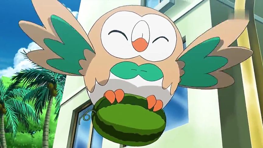 木木枭真是呆萌啊,派你去找莉莉艾,你给我带回来个瓜?