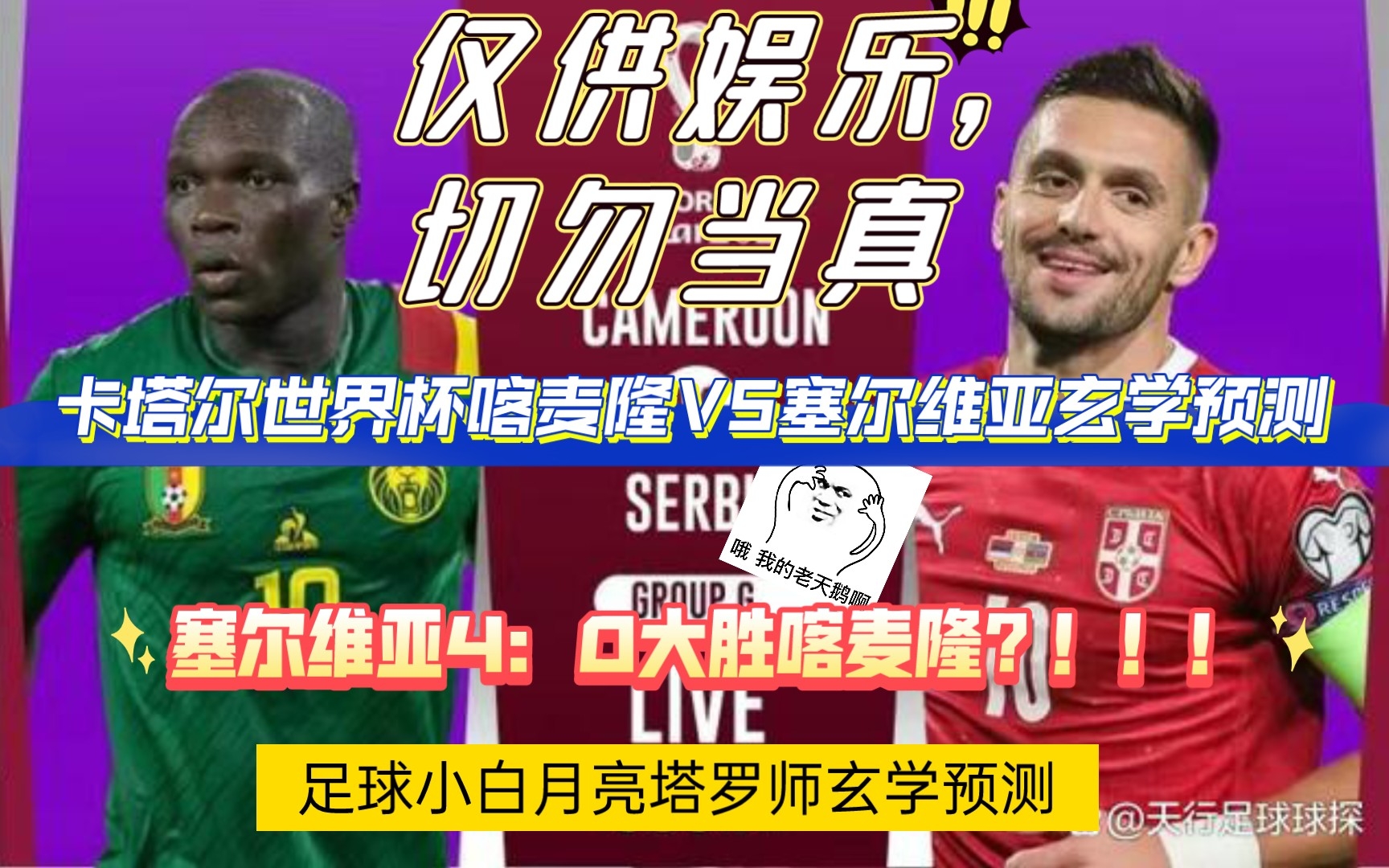 卡塔尔世界杯比赛结果玄学预测,喀麦隆VS塞尔维亚比赛结果预测,足球...