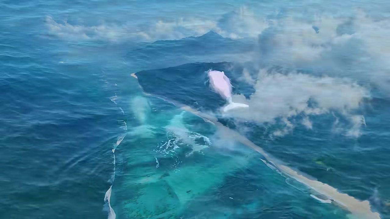 ...-中华白海豚】10月28日,2025年水生野生动物保护科普宣传月活动在...