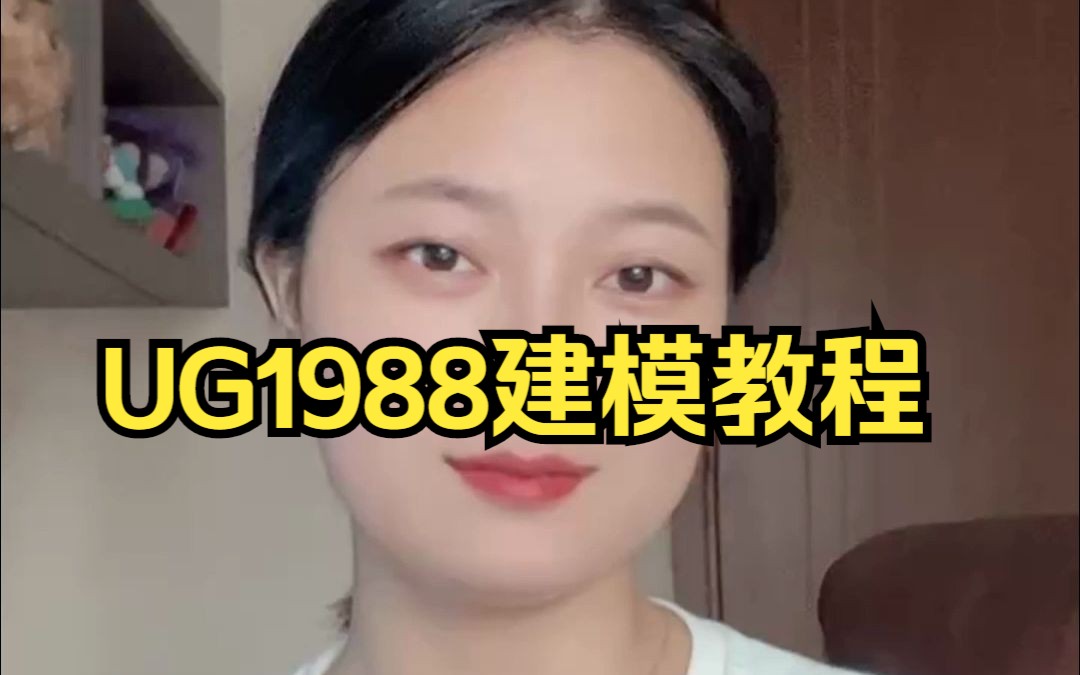 UG1988建模教程,一起来画大企鹅喔!