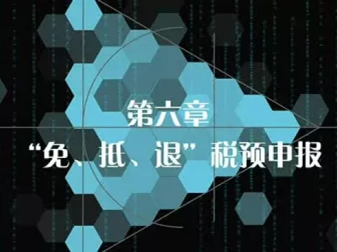 预申报-免抵退明细数据采集(二)