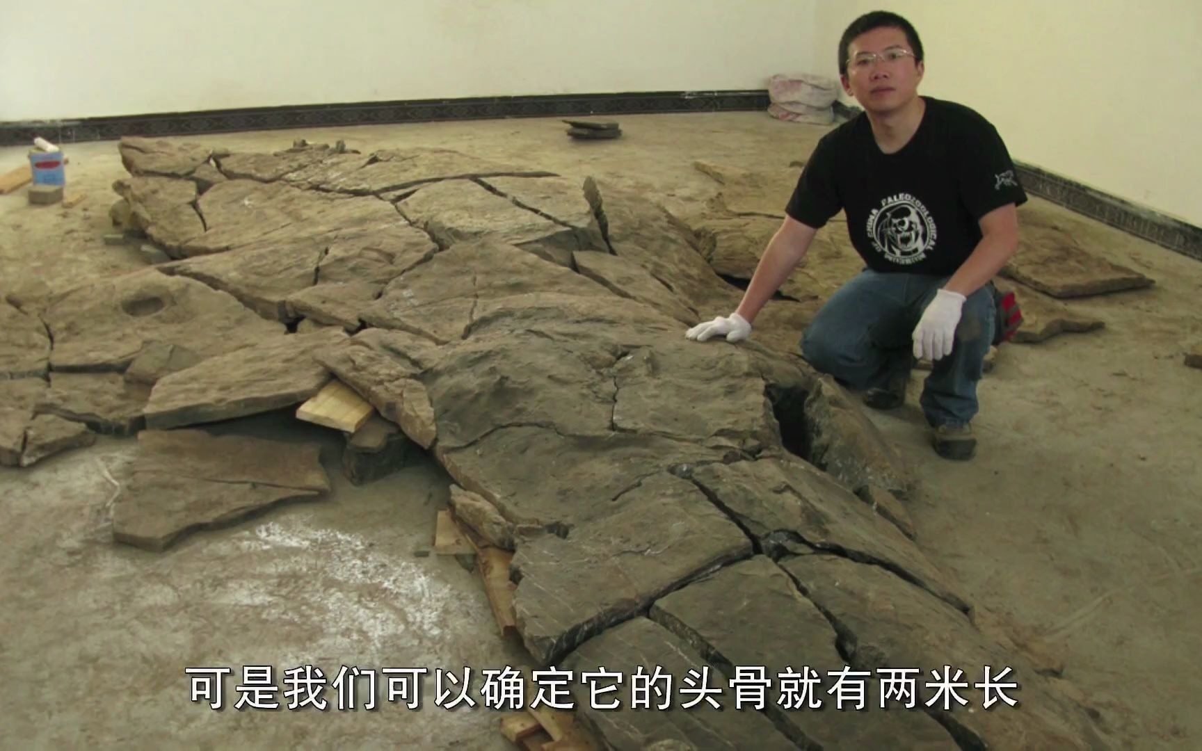 科学公开课:中国的三叠纪海洋爬行动物化石