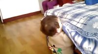 黑豆视频