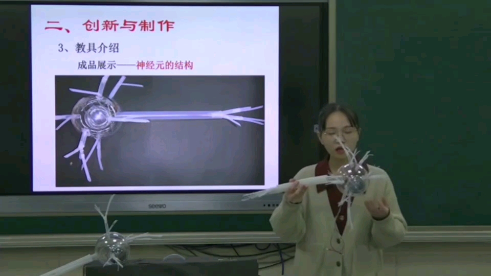 教具创新:展示神经元的结构与功能