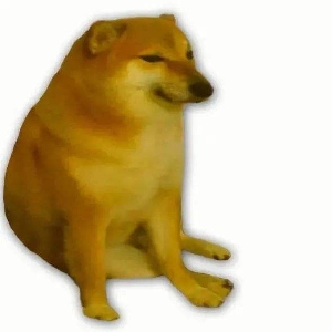 114514Cheemsdoge 