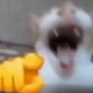hopscp 