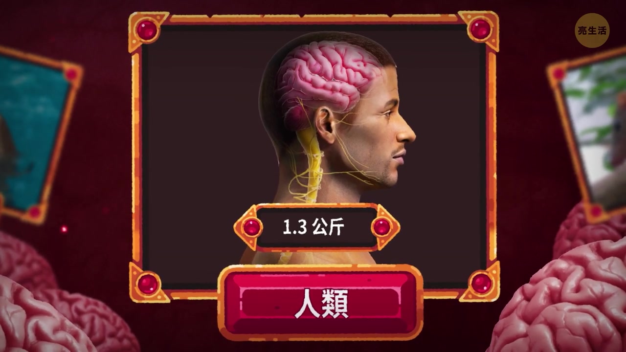 世界上最大和最小的动物器官,真的夸张到让人难以置信喔
