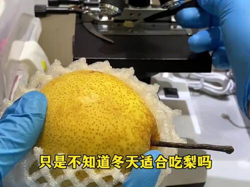 冬天喜欢吃梨的看过来,你吃梨的时削梨皮吗?