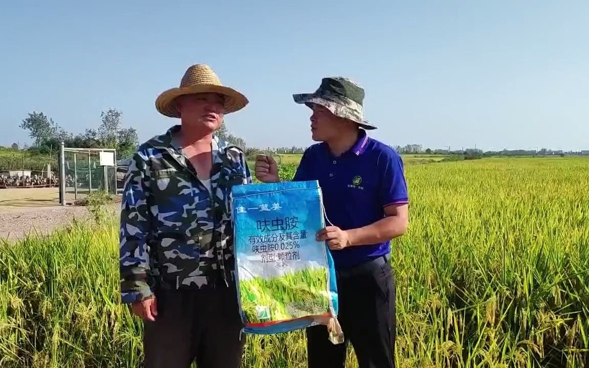 佳一蓝美水稻药肥有哪些品牌水稻药肥厂家专业生产销售