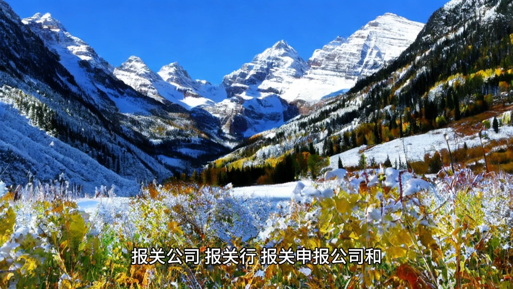 #什么叫报关公司 # 什么叫报关行 # 什么叫报关申报公司 #什么叫报关...