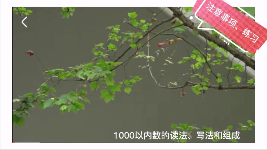 二年级数学下册,数的读法,写法,组成,必考知识点儿练习