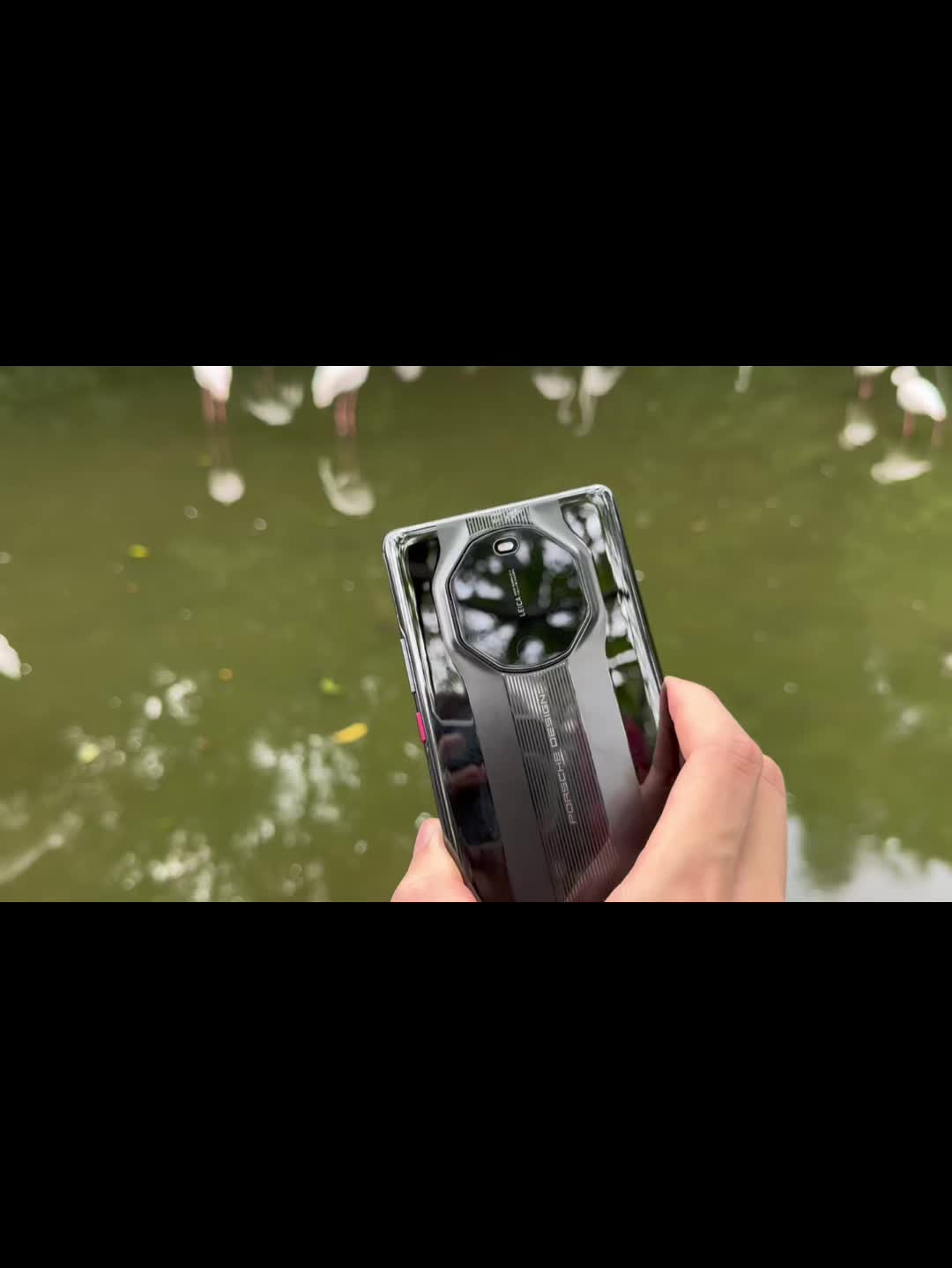 打鸟不一定要用相机 也可以用手机 华为mate40pro保时捷 10倍光潜望...