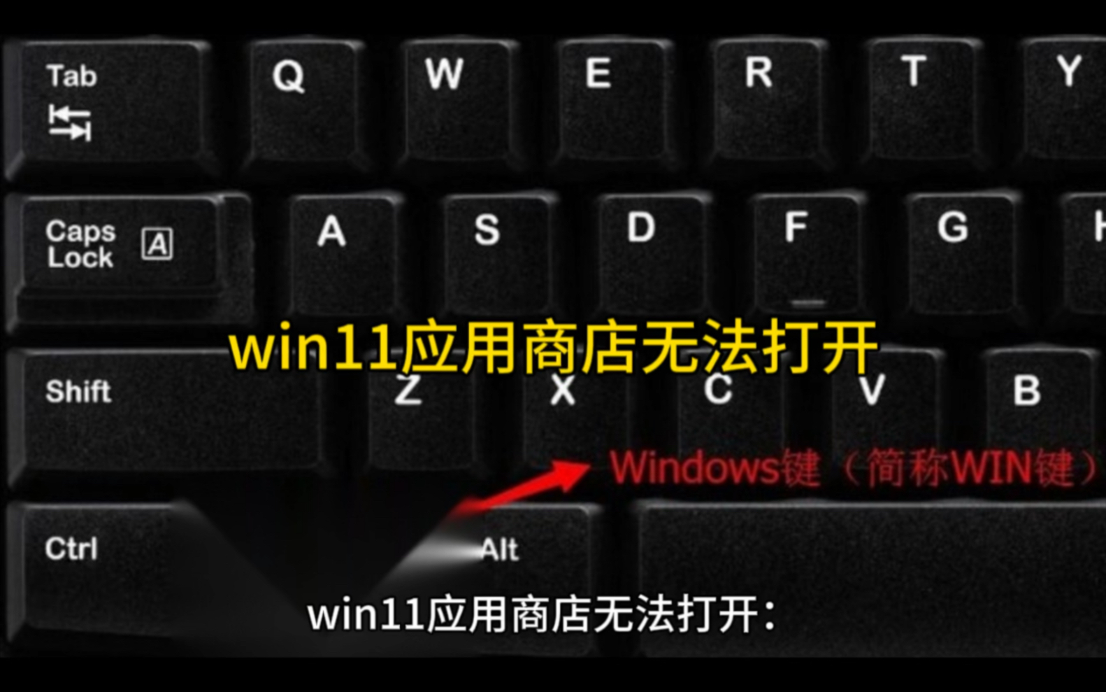 win11应用商店无法打开