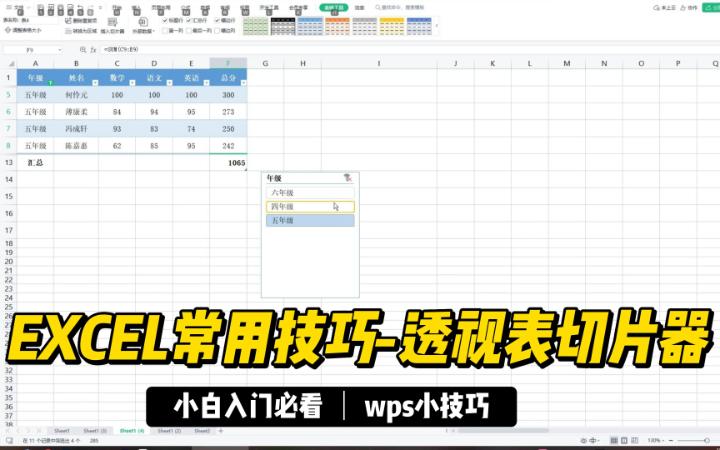 EXCEL常用技巧-透视表切片器-wps小技巧