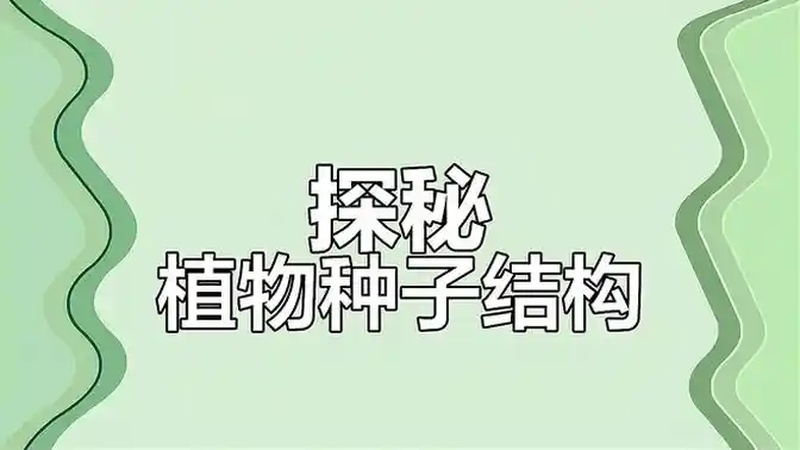 植物种子结构揭秘:从种皮到胚芽的成长之路