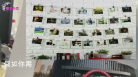 图文店里面的相片一般是如何制作的,今天带你了解
