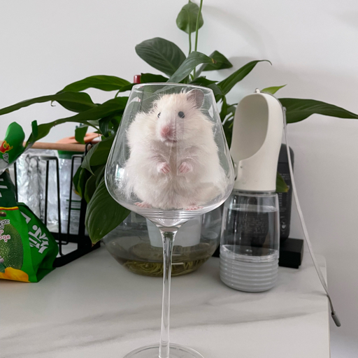 我和呆哥的周末 