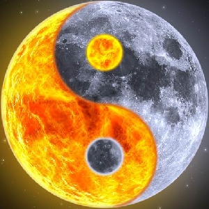 饮罢刀圭乘羽驾 