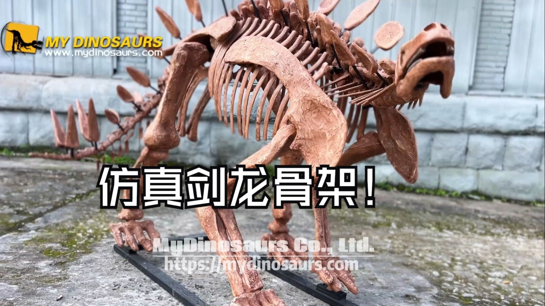 仿真剑龙骨架——玻璃钢静态雕塑,还原史前巨兽的极致细节!