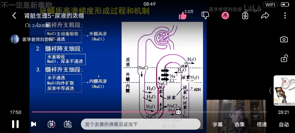 8、生理学之尿液的浓缩~外髓为因,内髓为果!