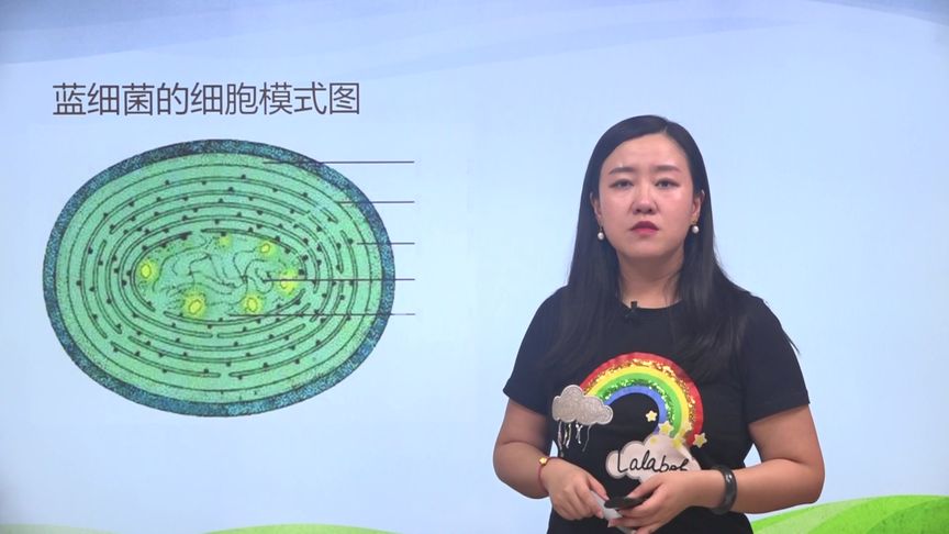 翟思茗-高中生物必修1-真核细胞和原核细胞