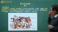 中医(师承)专长中药实用与鉴定-化湿药的类别与鉴定