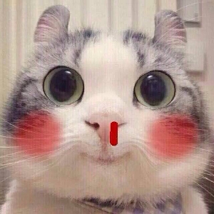 蒋小可爱ing 