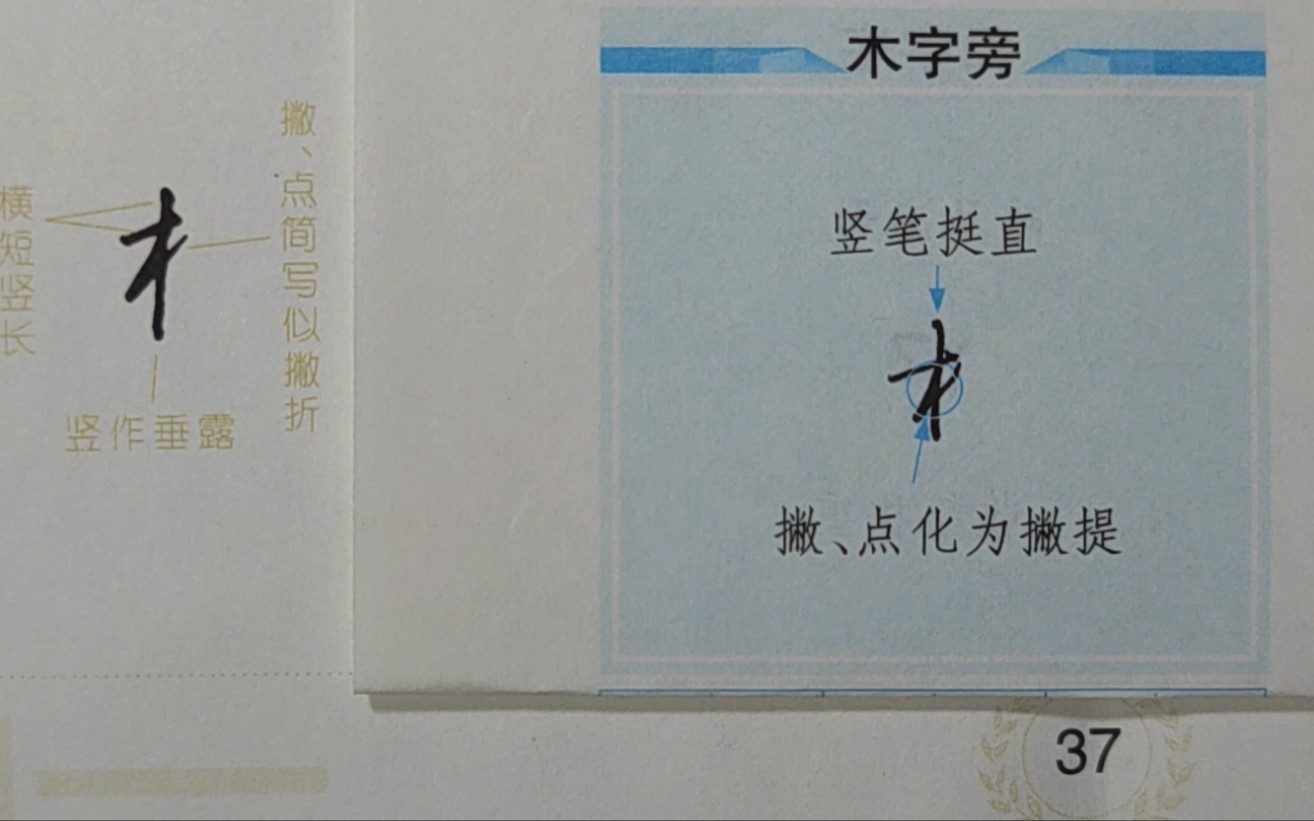 “木字旁”的连笔写法,一般人我才不教他!
