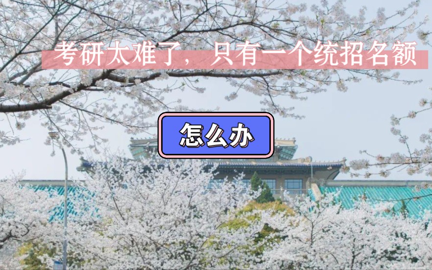 ...发生什么?原来计划招收21人,其中保研生就占到了20人,统考指标1人。