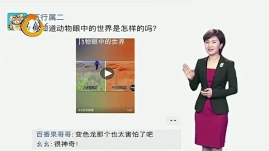 动物眼中的世界长啥样?科学家模拟动物眼睛和人眼对比,太震撼