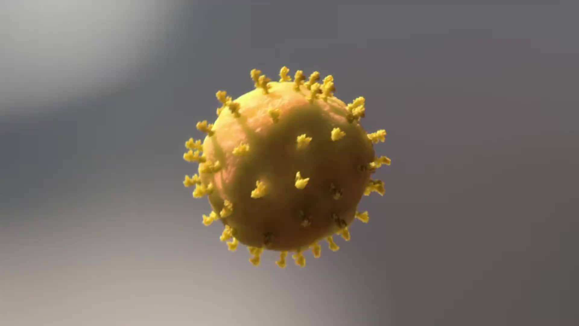 RNA病毒:正链RNA和负链RNA #生物 #遗传物质 #新冠病毒 #逆转录...