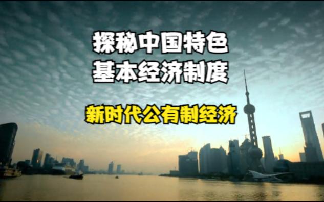 探秘中国特色基本经济制度:新时代的公有制经济