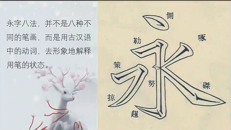 原来古人的“永字八法”,是这个意思