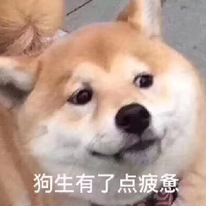 逗比00000 