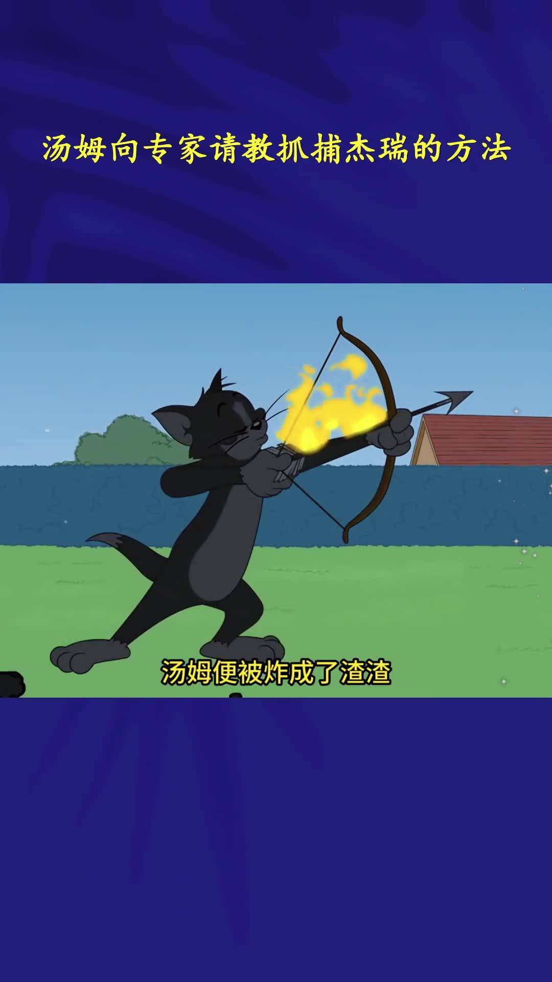 汤姆向专家请教抓捕杰瑞的方法