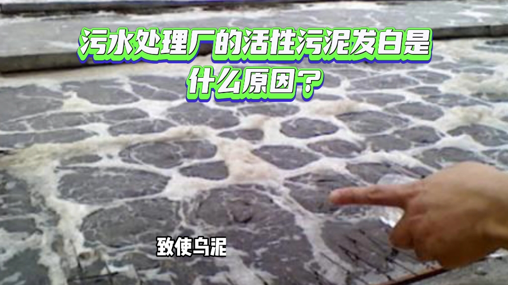 污水处理厂生化池在运行过程中如果发现污泥发白怎么解决
