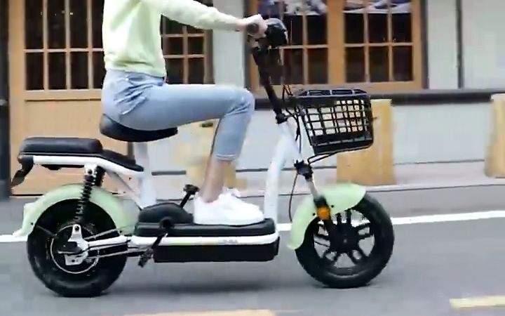 棒途哈啰电动车48V20Ah锂电可提电池电瓶车新国标电动自行车 小...
