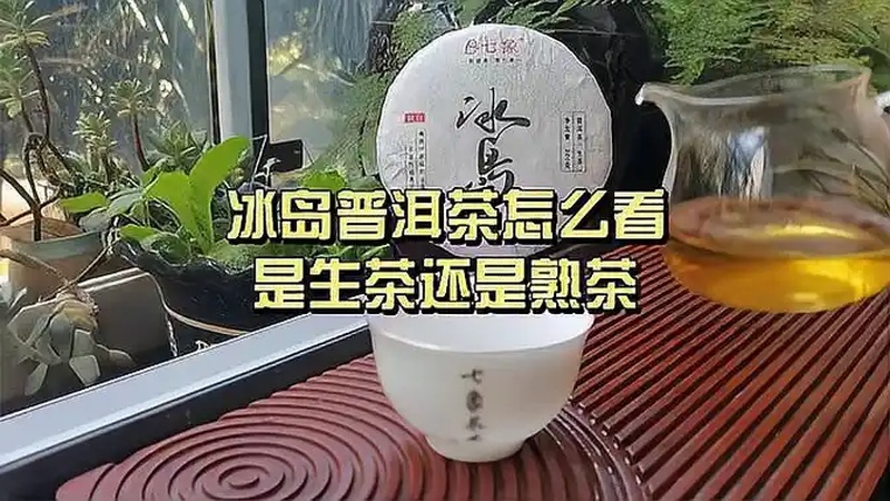 冰岛普洱茶怎么看是生茶还是熟茶