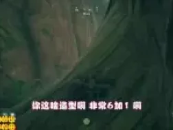 狒狒模拟器:大难不死必有后福,一口气生了两只猴子!