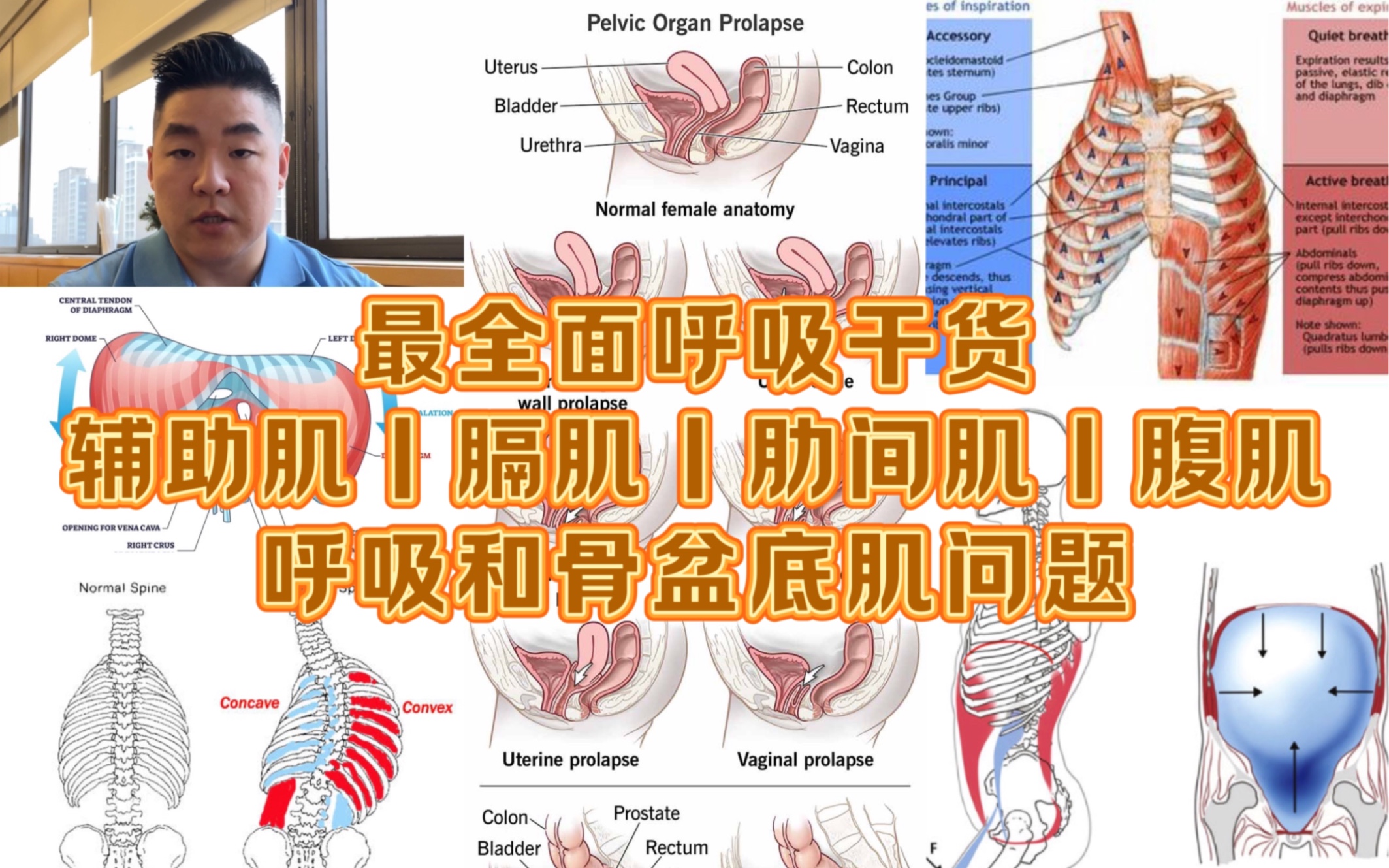 最全面呼吸讲解|辅助肌,膈肌,肋间肌,腹肌之间的关系,以及它们会怎样...