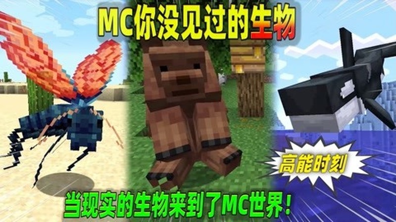 我的世界:高能解说,当现实的生物来到了MC世界!
