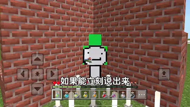 我的世界:分辨药水