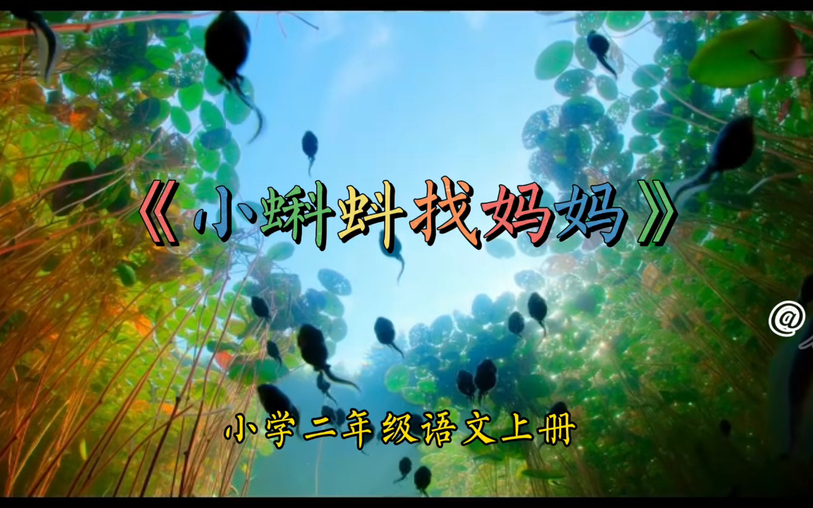小学二年级语文上册《小蝌蚪找妈妈》高清朗读视频